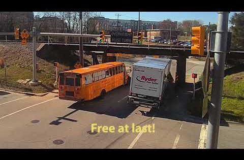 11 FOOT 8 - The Canopener Bridge