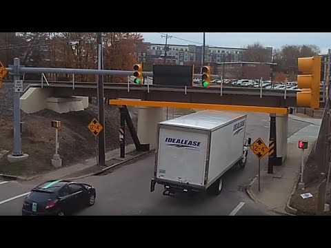 The newly raised, 11foot8 +8 canopener nibbles on a box truck - 11 FOOT 8